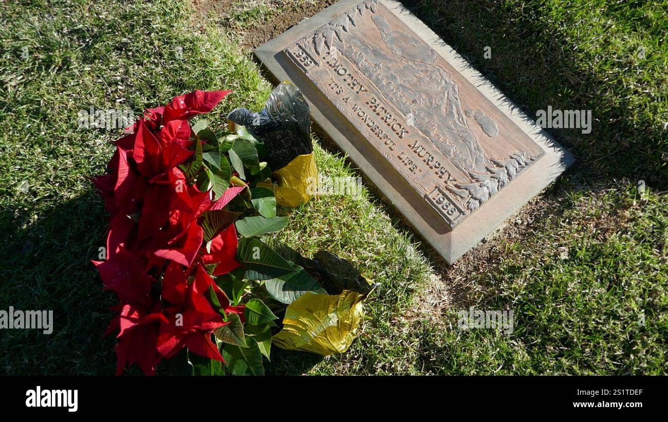Los Angeles, California, USA 2nd January 2025 Actor Timothy Patrick ...