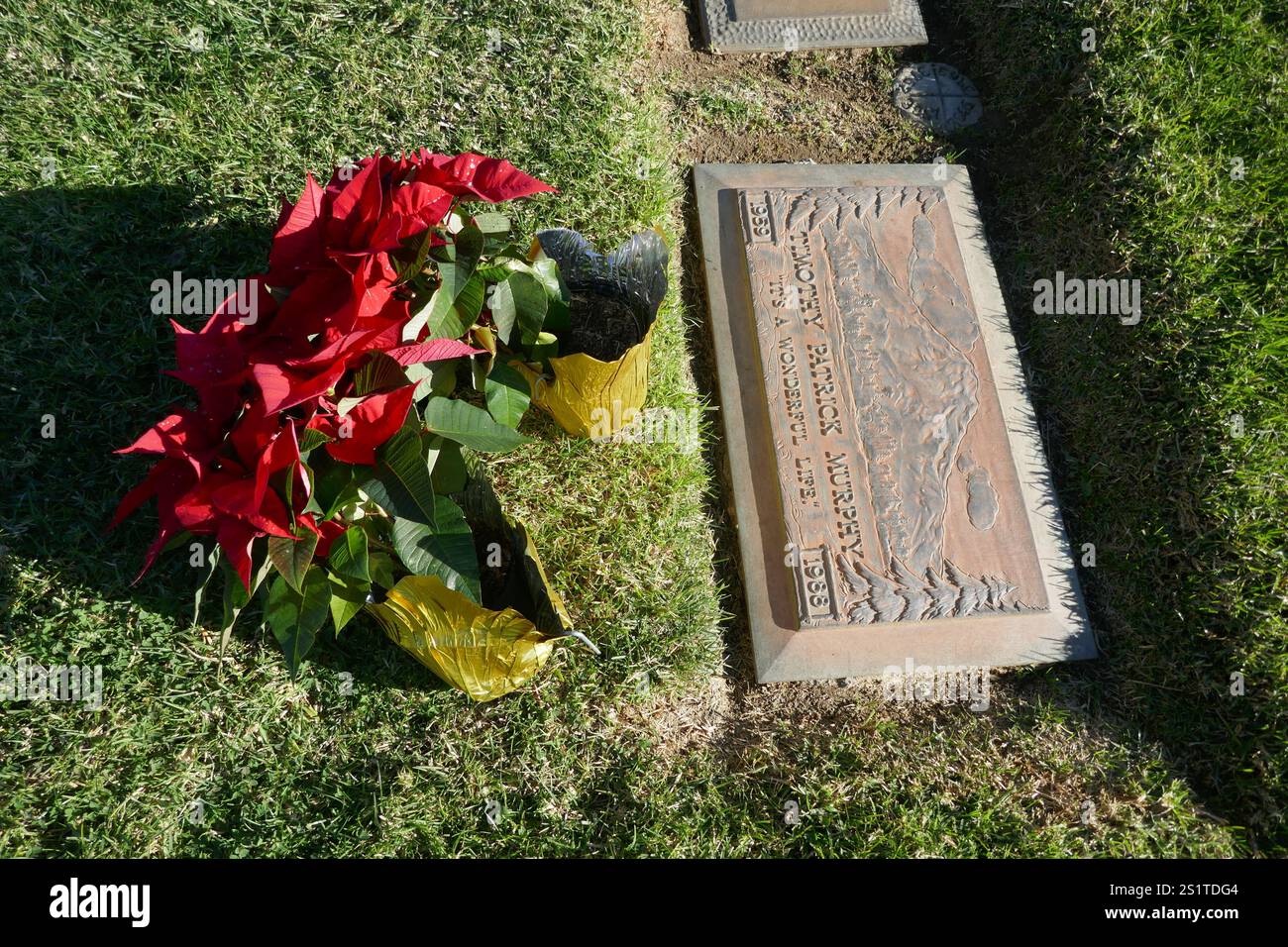 Los Angeles, California, USA 2nd January 2025 Actor Timothy Patrick ...