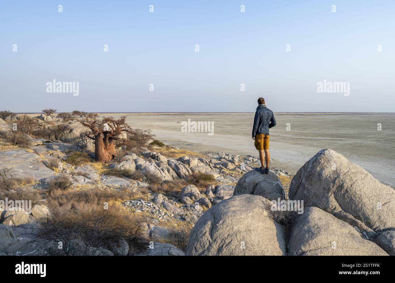 Tourist looking over the salt pan, African baobab or monkey bread tree ...