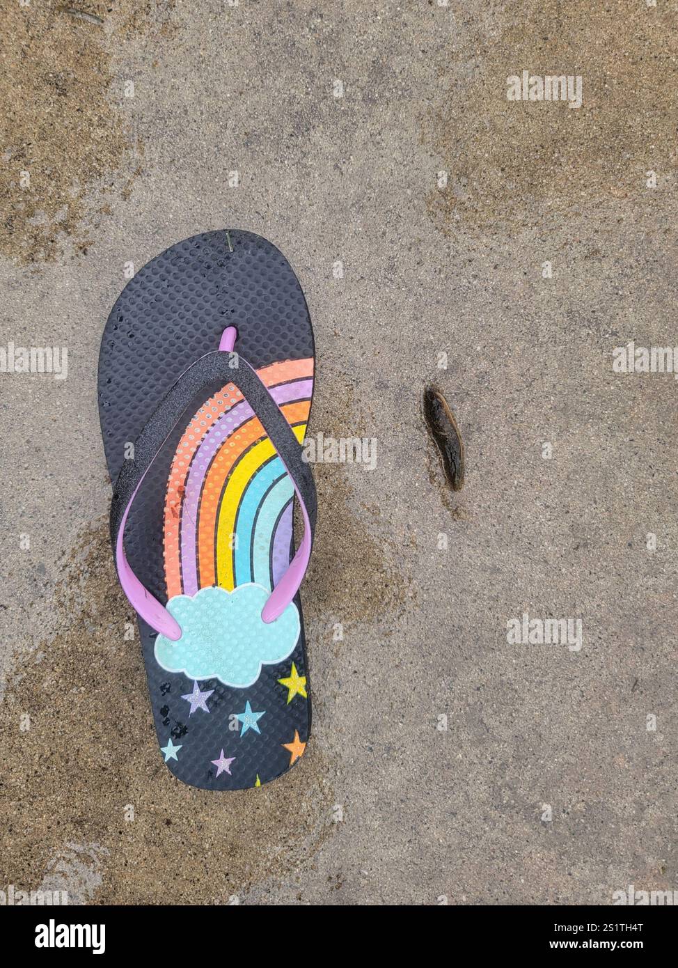 Yellow Cellar Slug (Limacus flavus Stock Photo - Alamy