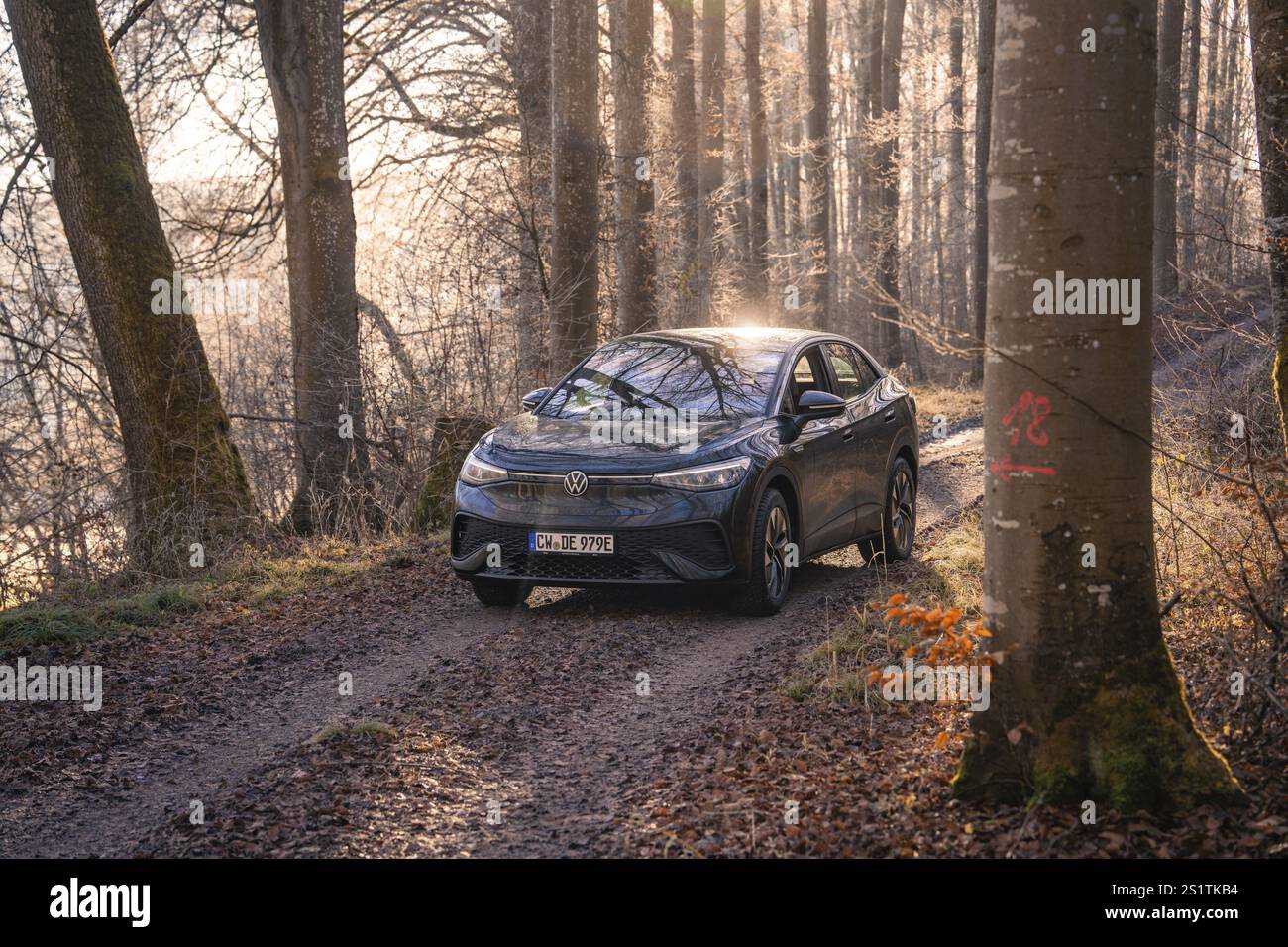 Vehicle in a forest path, tree with red marking on the right, car ...