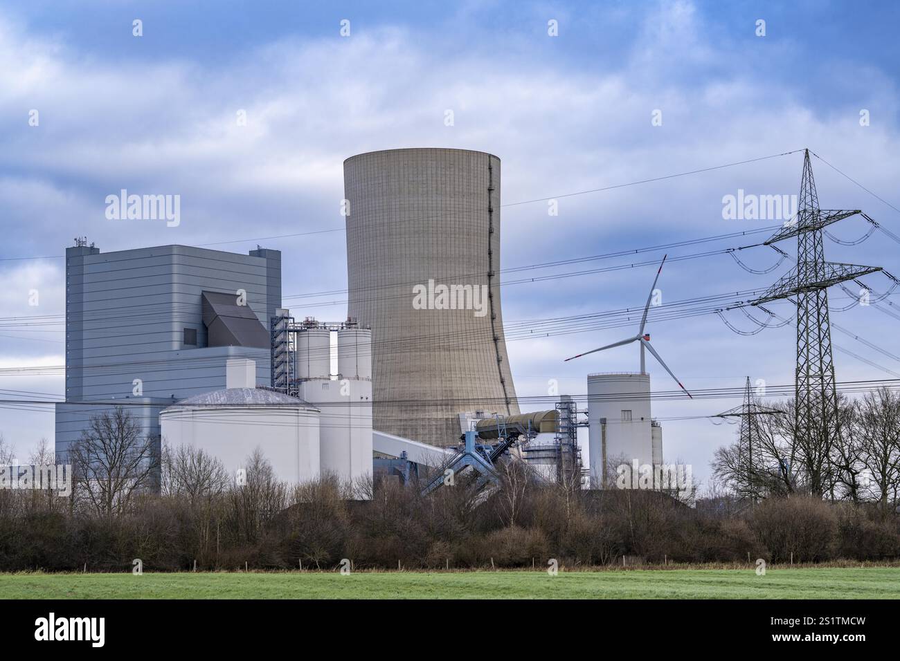 North poles fossil hi-res stock photography and images - Alamy