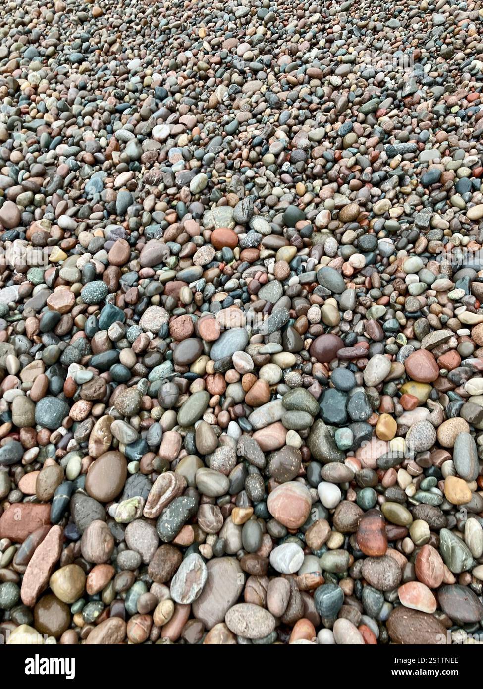 Pebbles at a beach Stock Photo - Alamy
