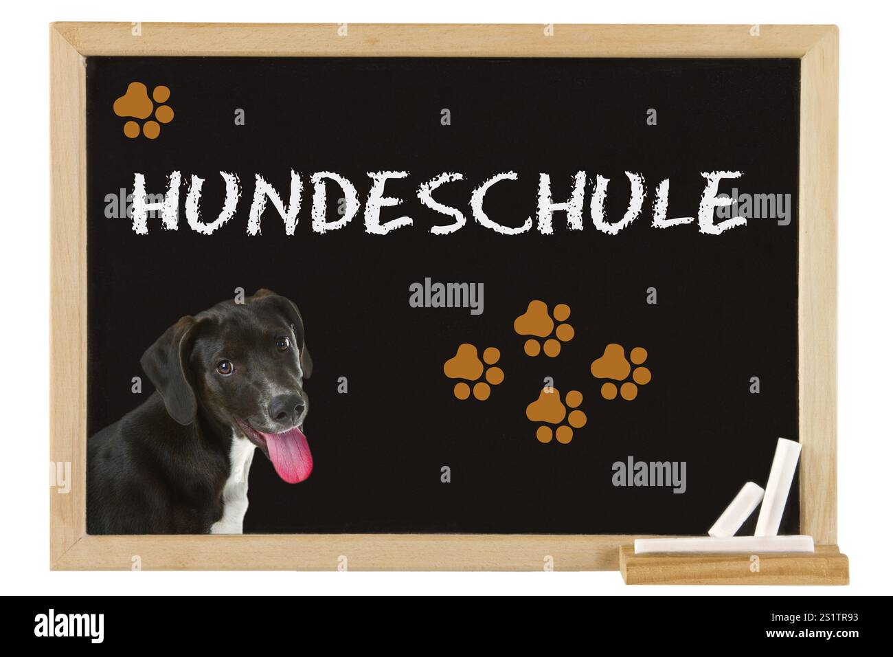 School trained Cut Out Stock Images & Pictures - Alamy