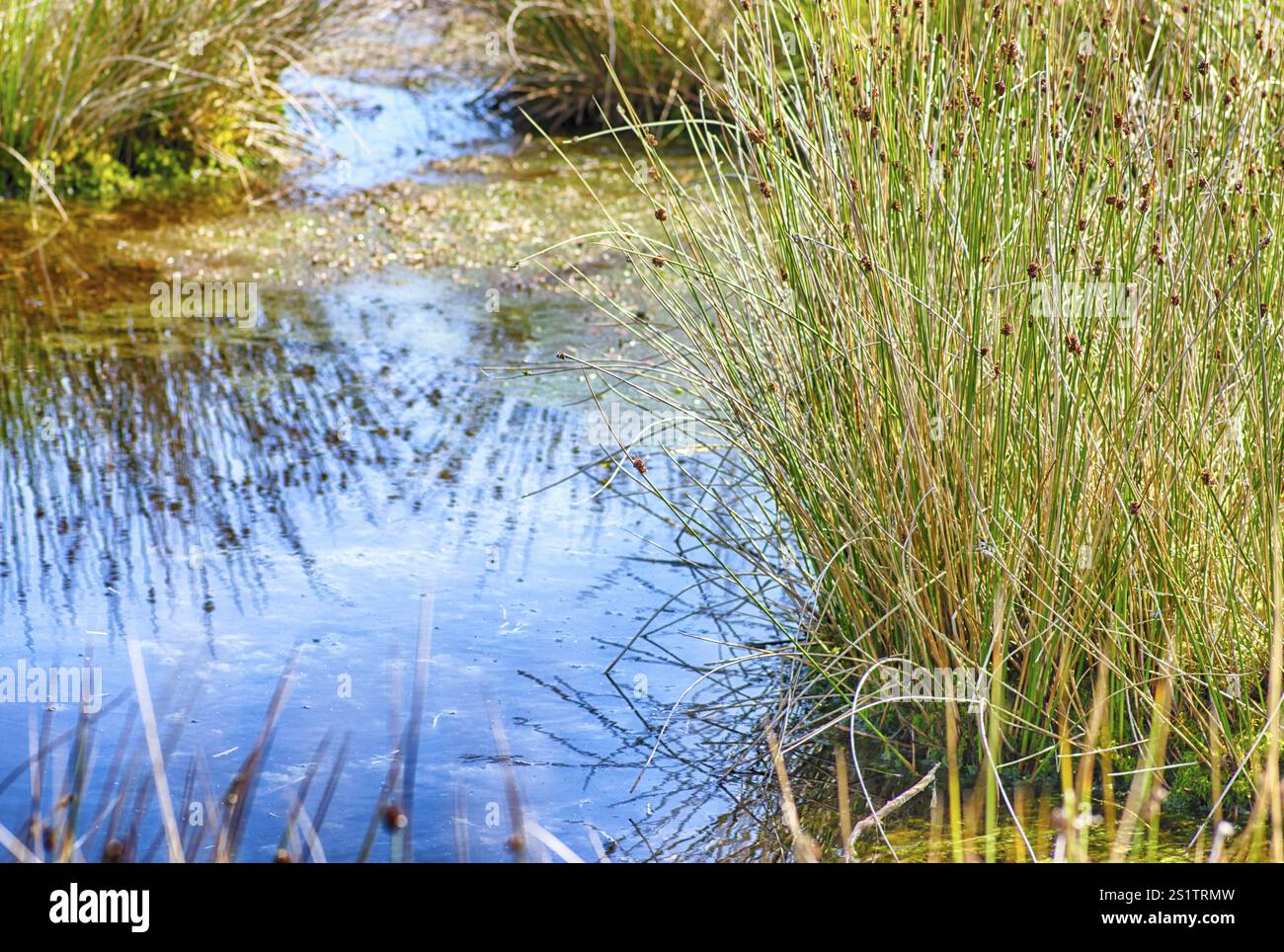 Eternal Sea nature reserve Stock Photo - Alamy