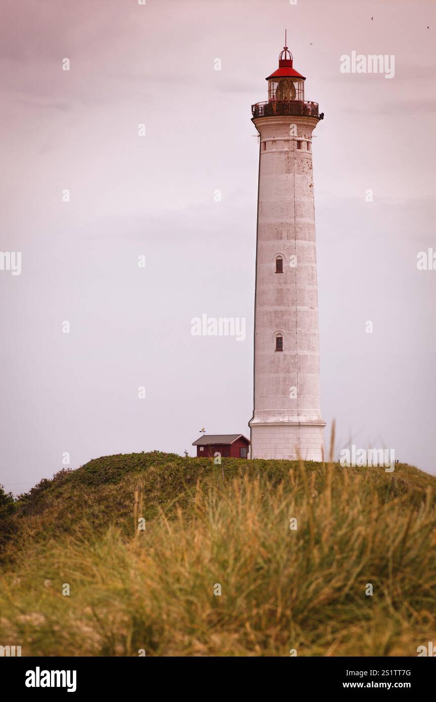Lyngvig fyr lighthouse in summertime with sand dunes in Danmark ...