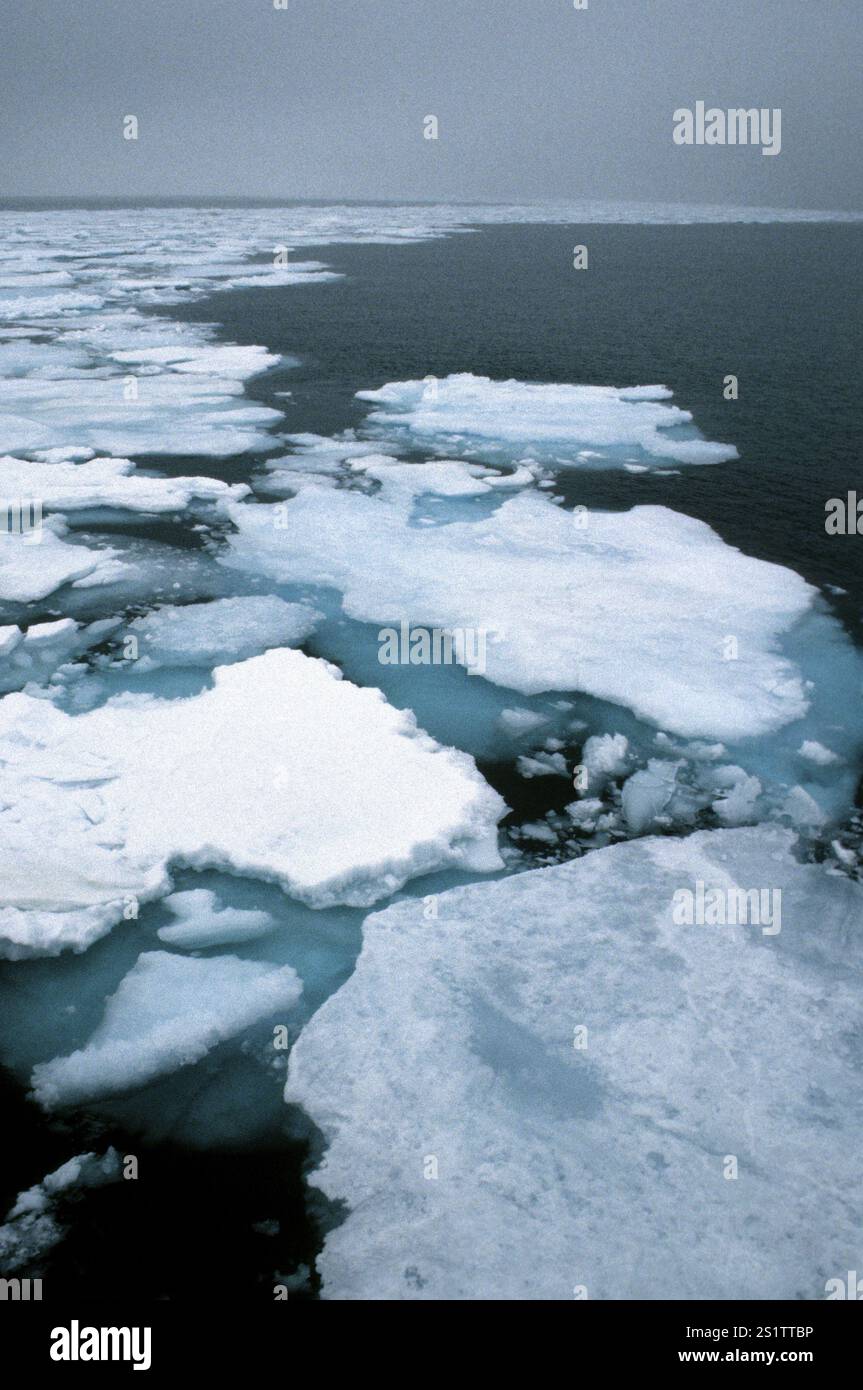 New york city ice field office hi-res stock photography and images - Alamy
