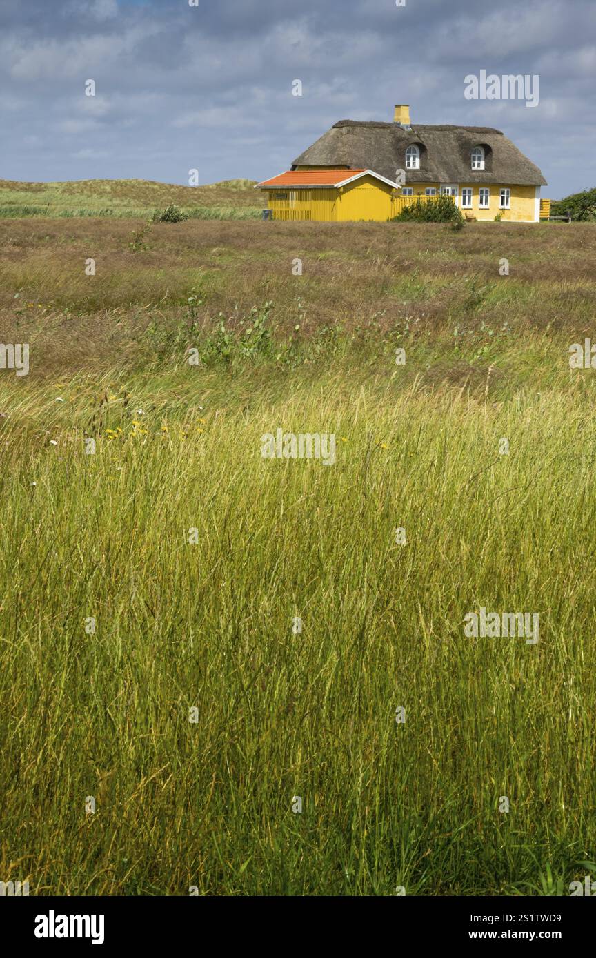 Beautiful views and details of Danish houses on the North Sea coast ...