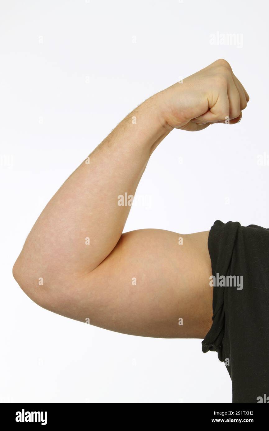 Arm muscles on a white background Stock Photo - Alamy