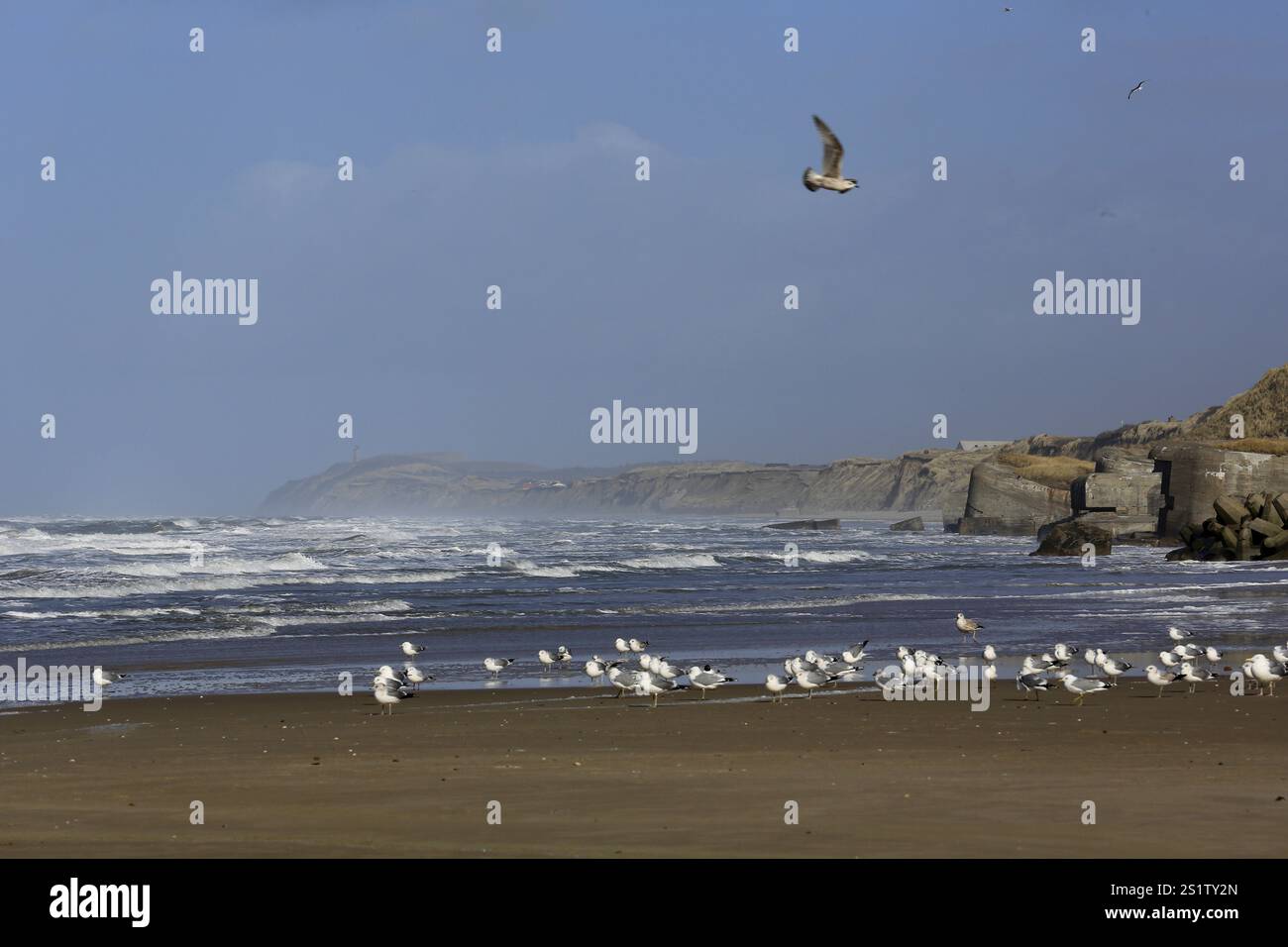 Beach with crashed bunkers of the German Wehrmacht, in the background ...