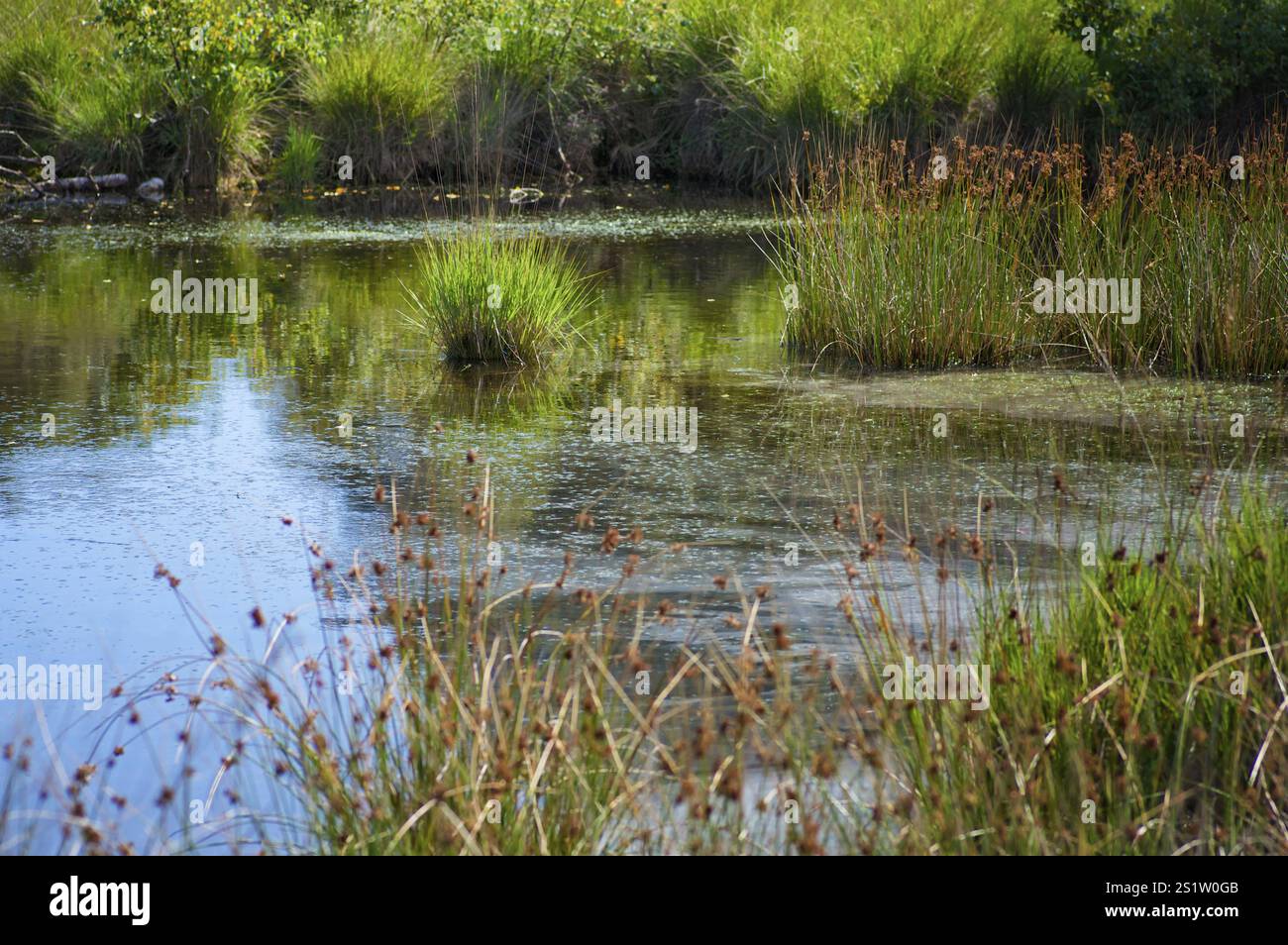 Eternal Sea nature reserve Stock Photo - Alamy