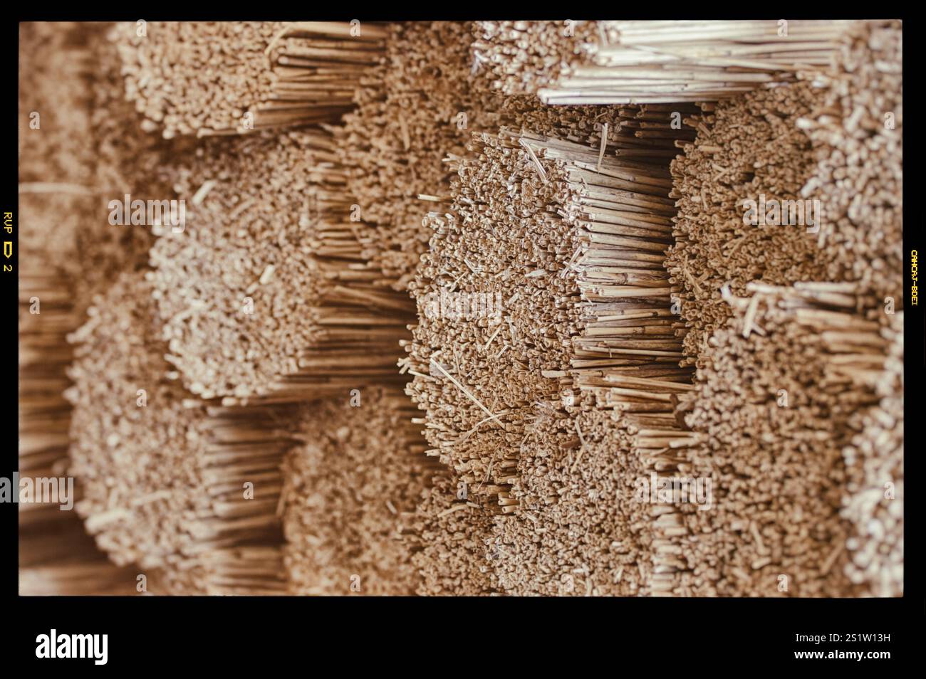 Processing of reed for thatching Stock Photo - Alamy