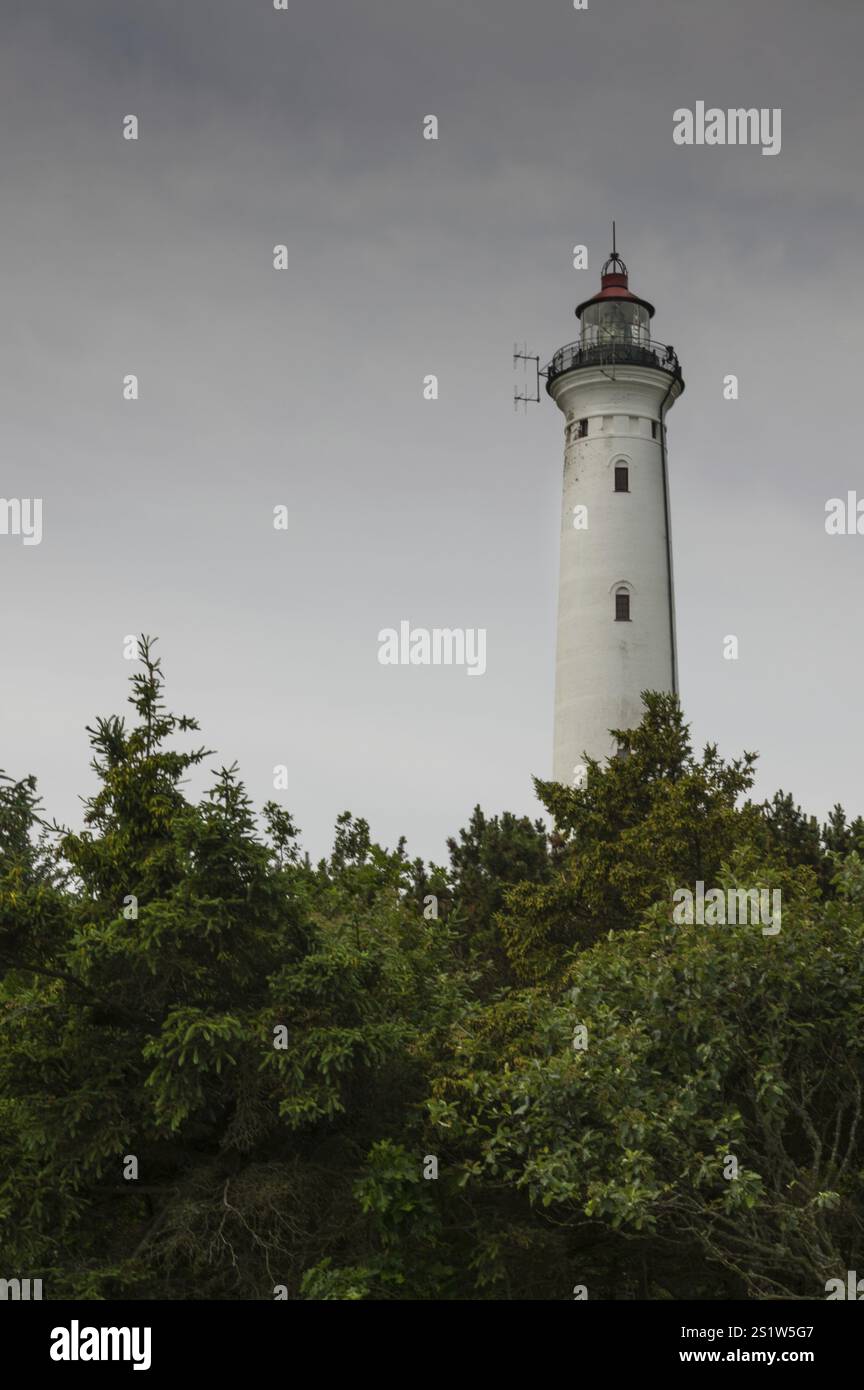 Lyngvig fyr lighthouse in summertime with sand dunes in Danmark ...
