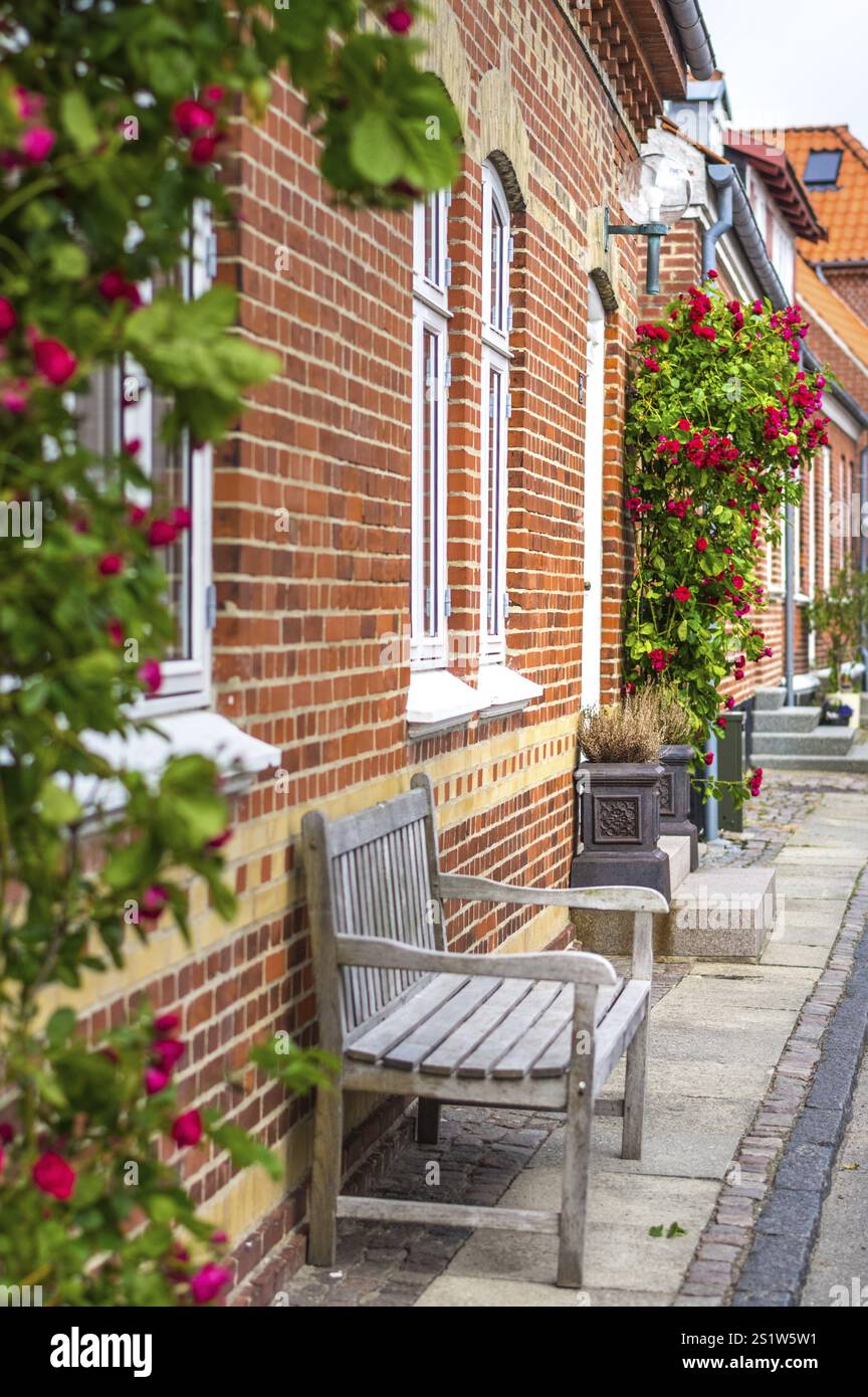 Beautiful views and details of Danish houses on the North Sea coast ...