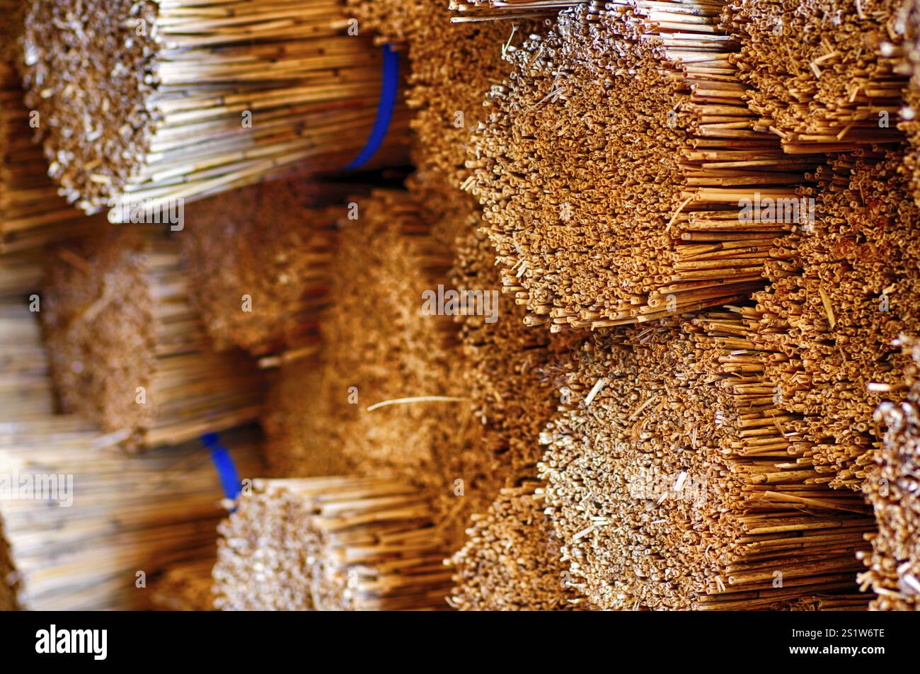 Processing of reed for thatching Stock Photo - Alamy