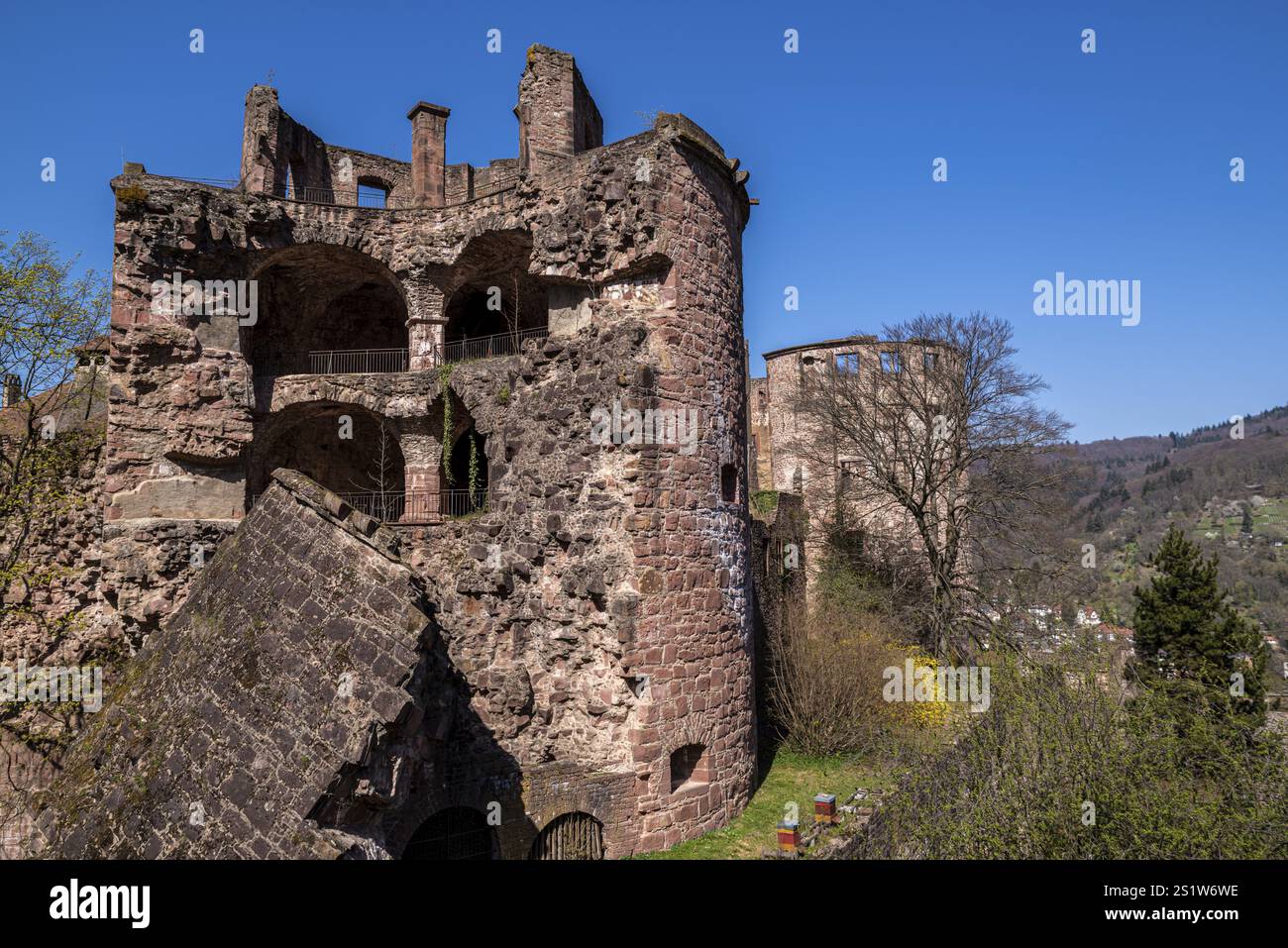 The famous Castle of Heidelberg in Springtime is a popular tourist ...