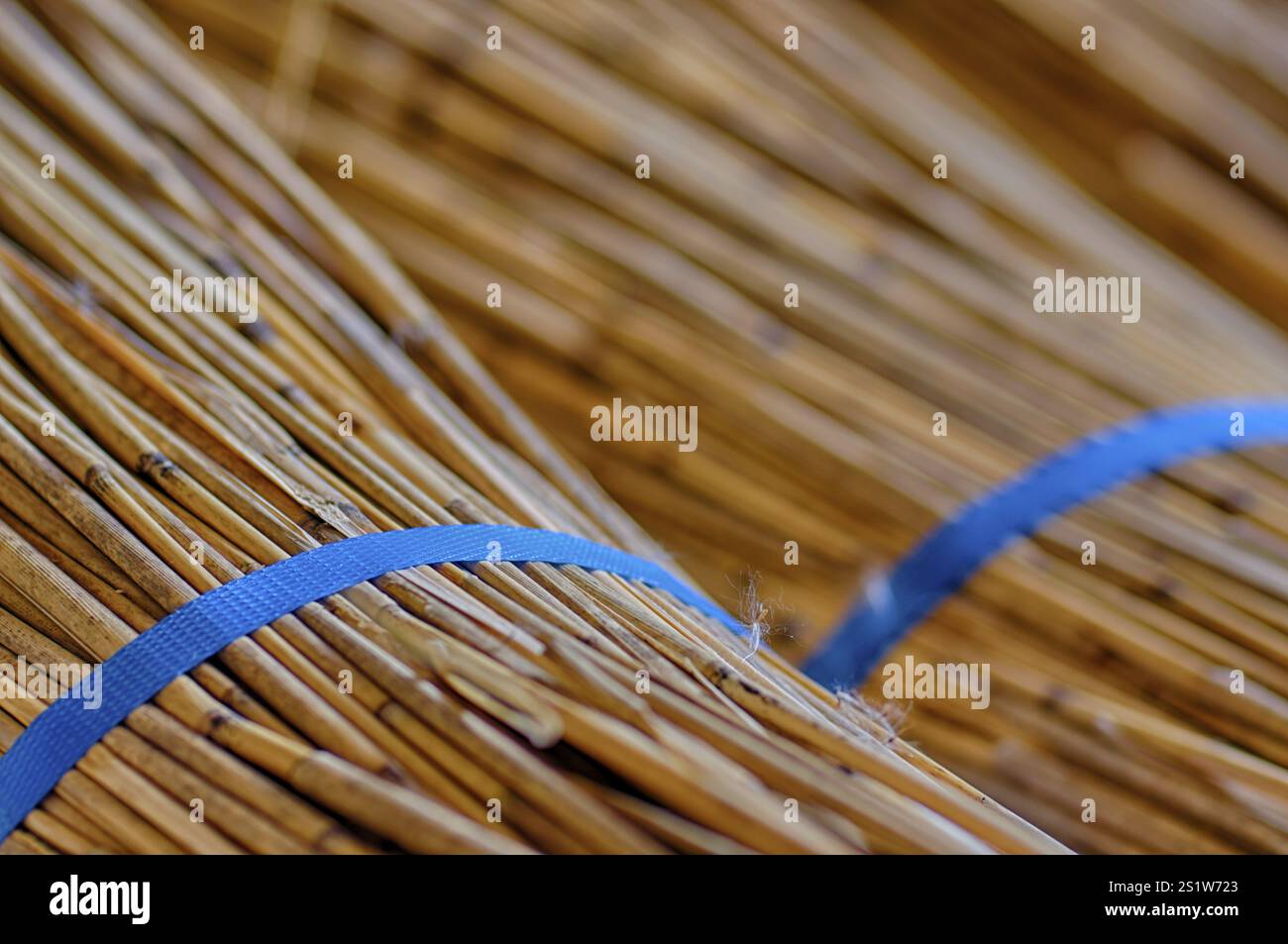 Processing of reed for thatching Stock Photo - Alamy