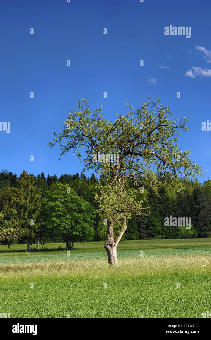 Fresh air landscapes hi-res stock photography and images - Alamy