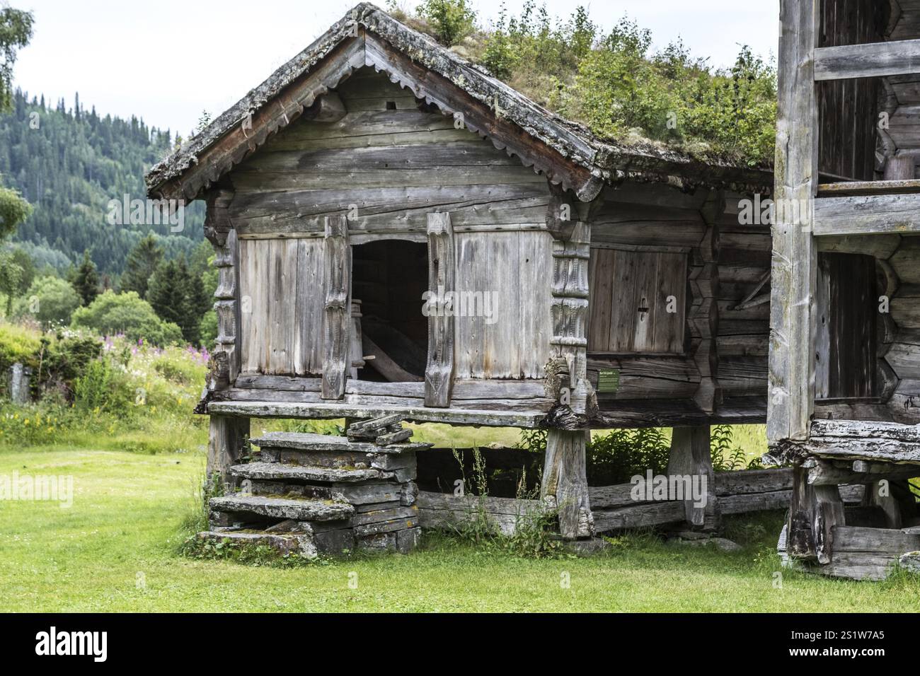 Traditional Timber house with grass roof in the Setesdal in Norway in ...