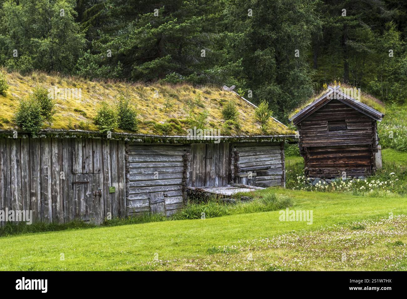 Traditional Timber house with grass roof in the Setesdal in Norway in ...