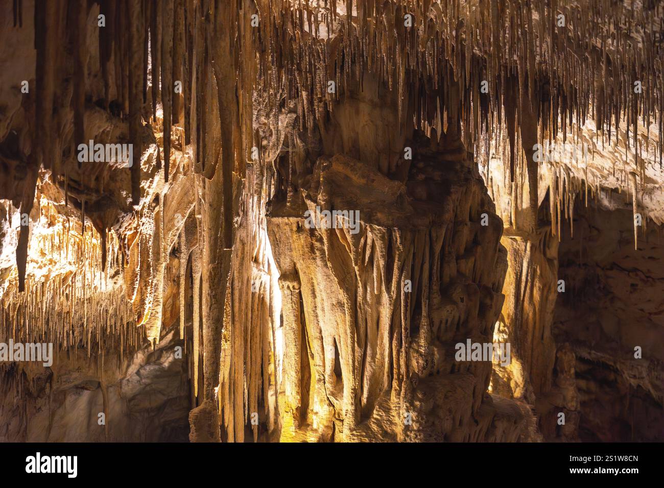 Warm colored stalactites and stalagmites creating evocative shapes ...