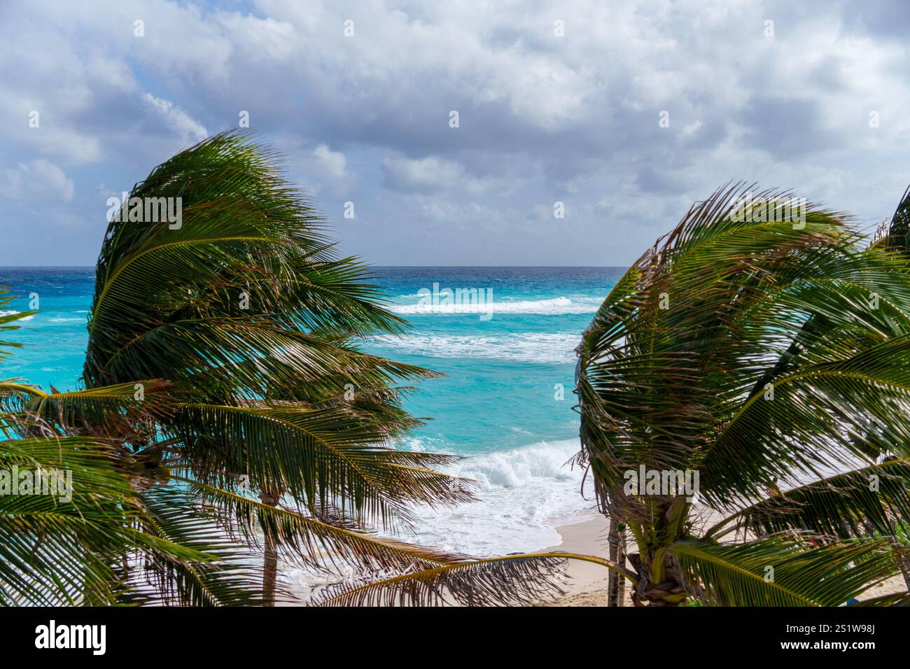 The palm trees are gently blowing in the warm wind on the beach Stock ...