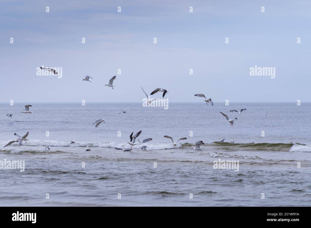 Holiday at the North Sea in Denmark with impressions of the beach and ...