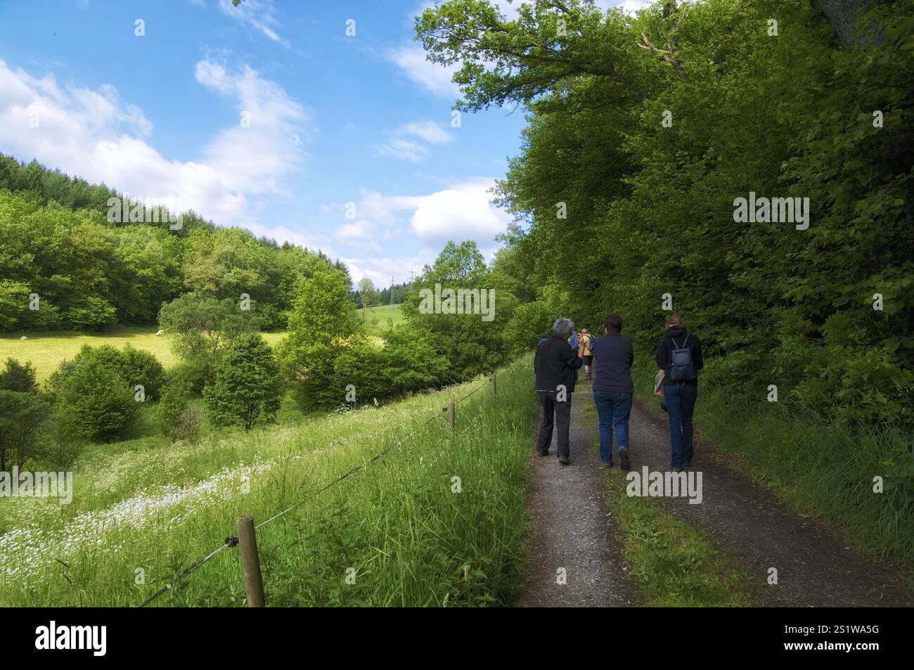 Landscape shots during a herb walk in search of edible herbs Stock ...