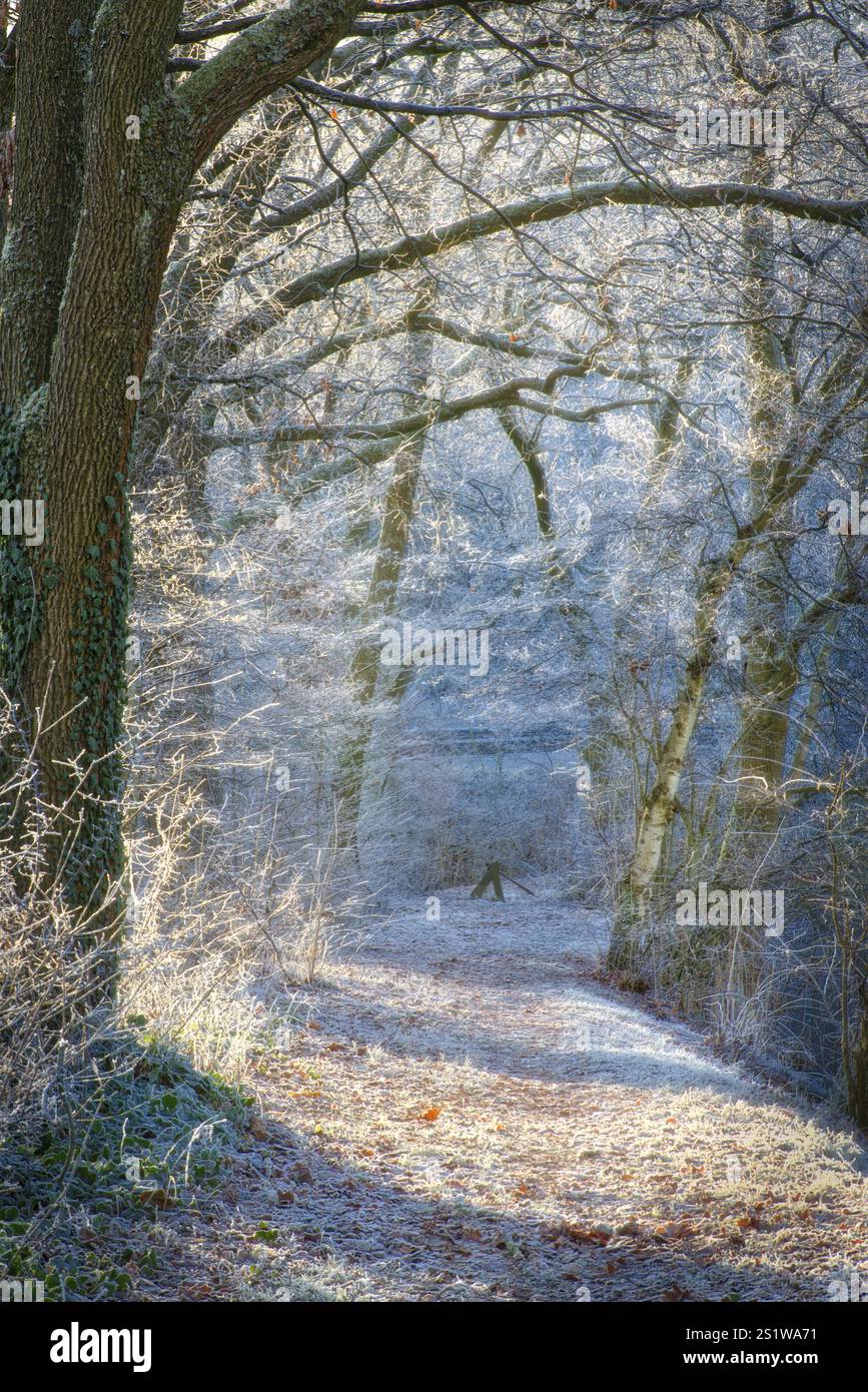 Beautiful winter landscape with ice and frost in the sunshine ...