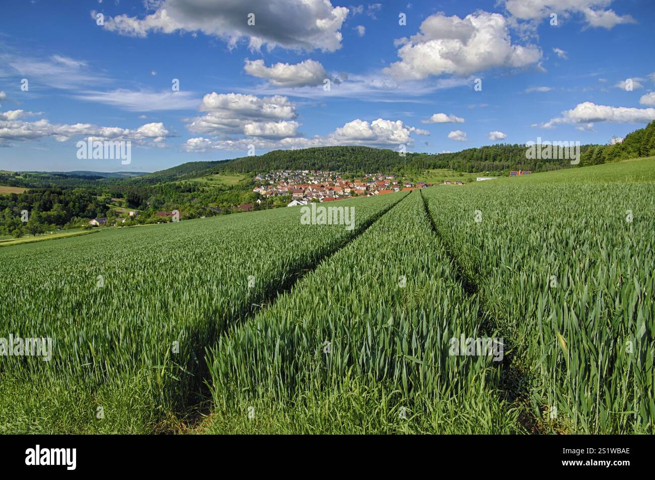 Fresh scenery hi-res stock photography and images - Alamy