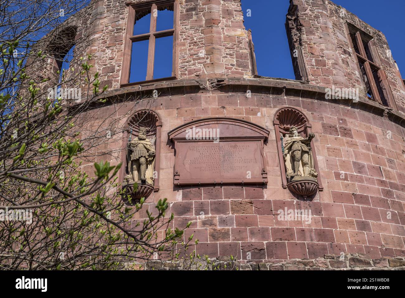 The famous Castle of Heidelberg in Springtime is a popular tourist ...