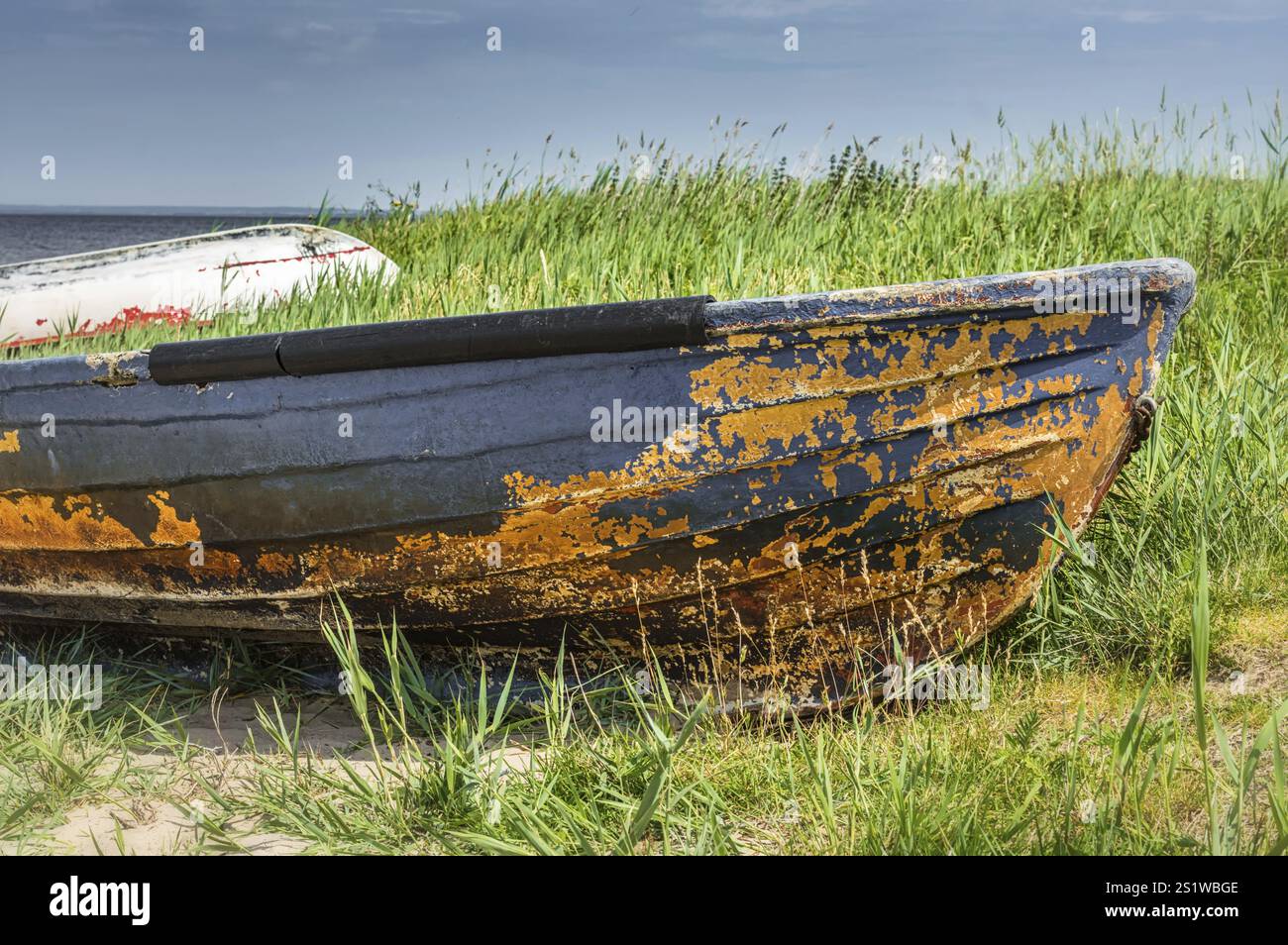 Boat at the coast of the Ringkoebing Fjord in Denmark at summertime ...