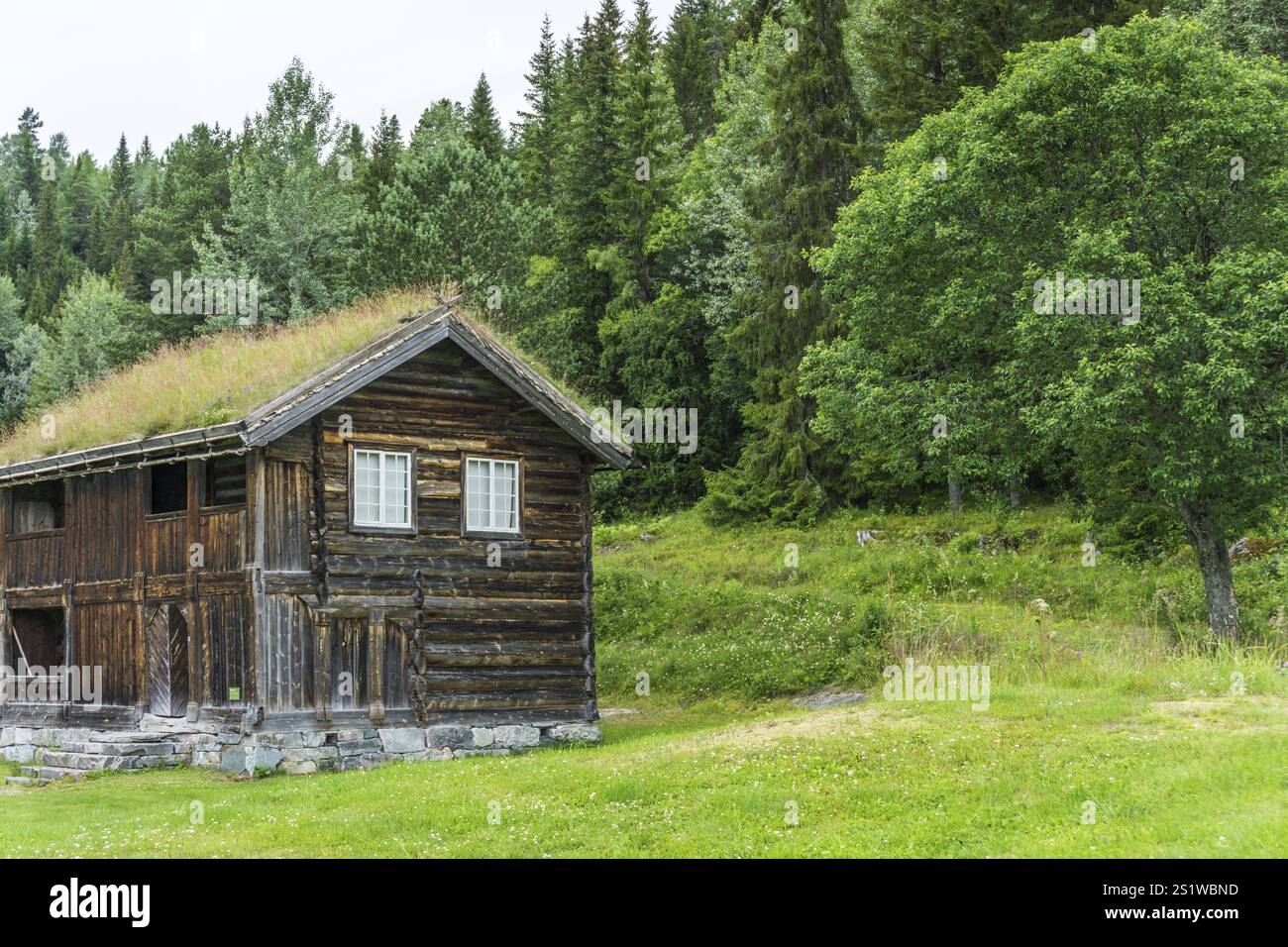 Traditional Timber house with grass roof in the Setesdal in Norway in ...