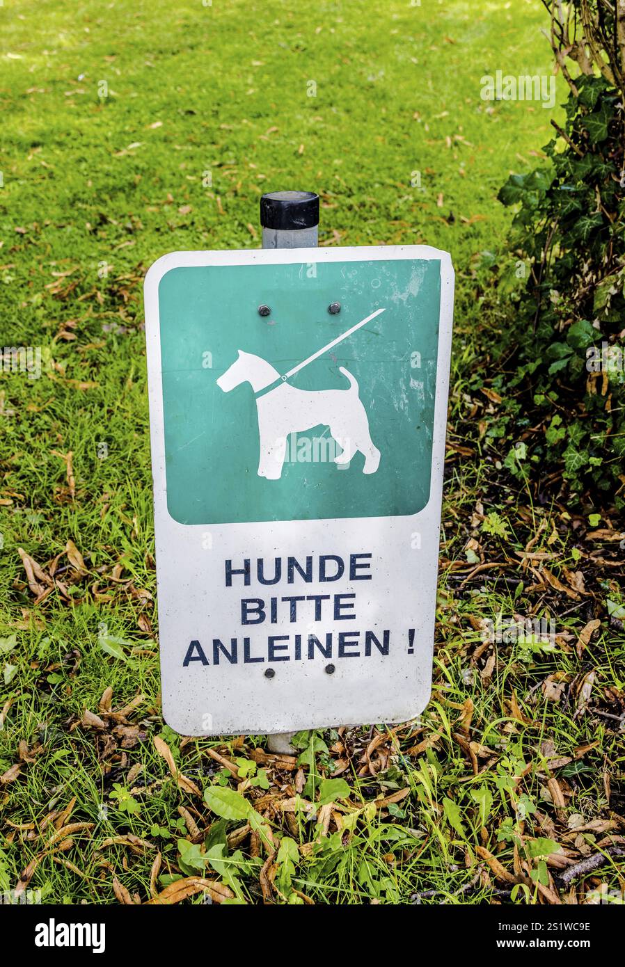 Please keep your dog on a leash sign in a public park in autumn Stock ...