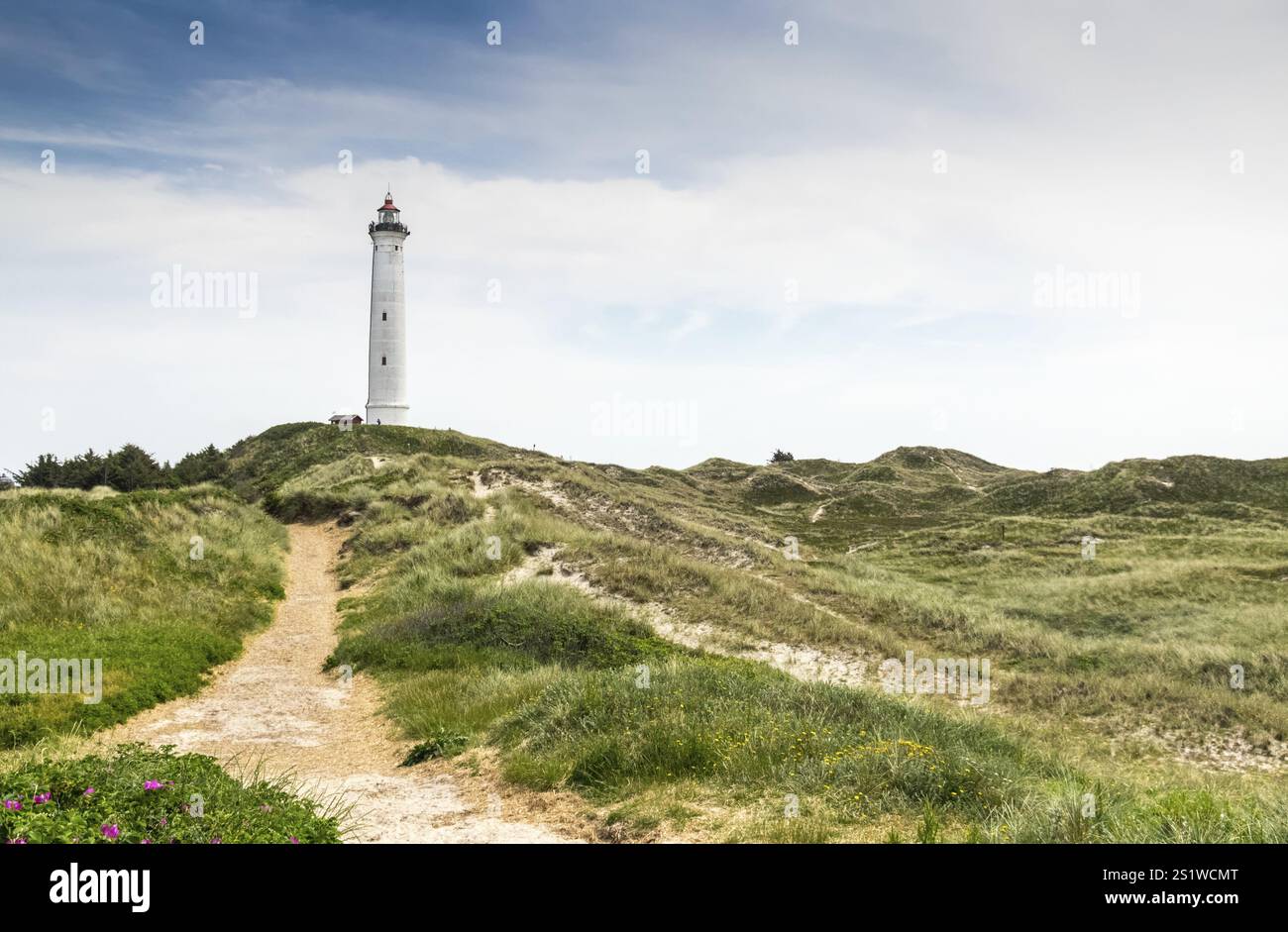 Lyngvig fyr lighthouse in summertime with sand dunes in Danmark ...