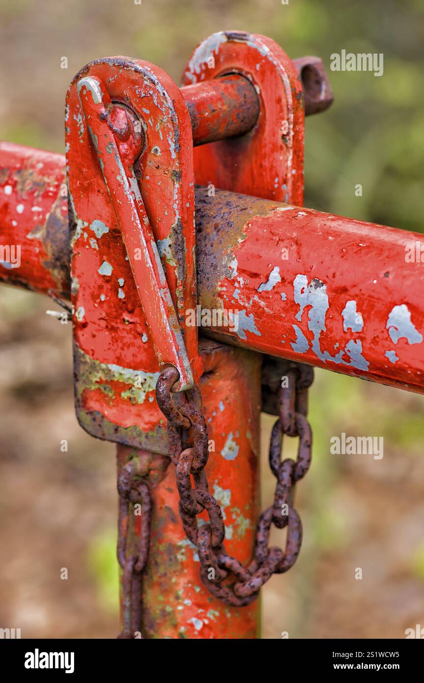 Scarred for life hi-res stock photography and images - Alamy