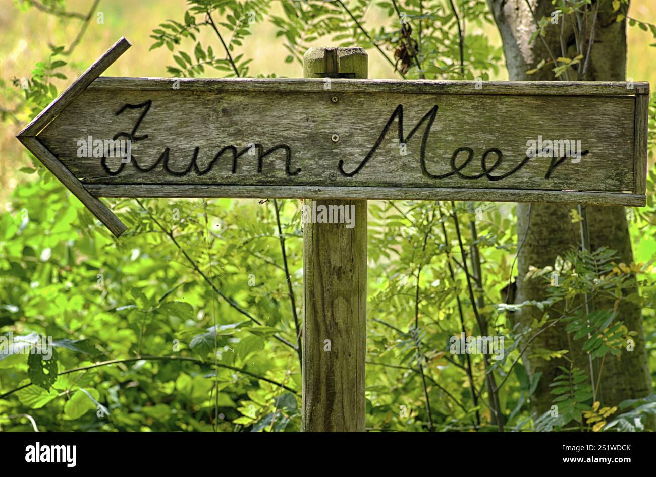 Eternal sea with moor nature trail Stock Photo - Alamy