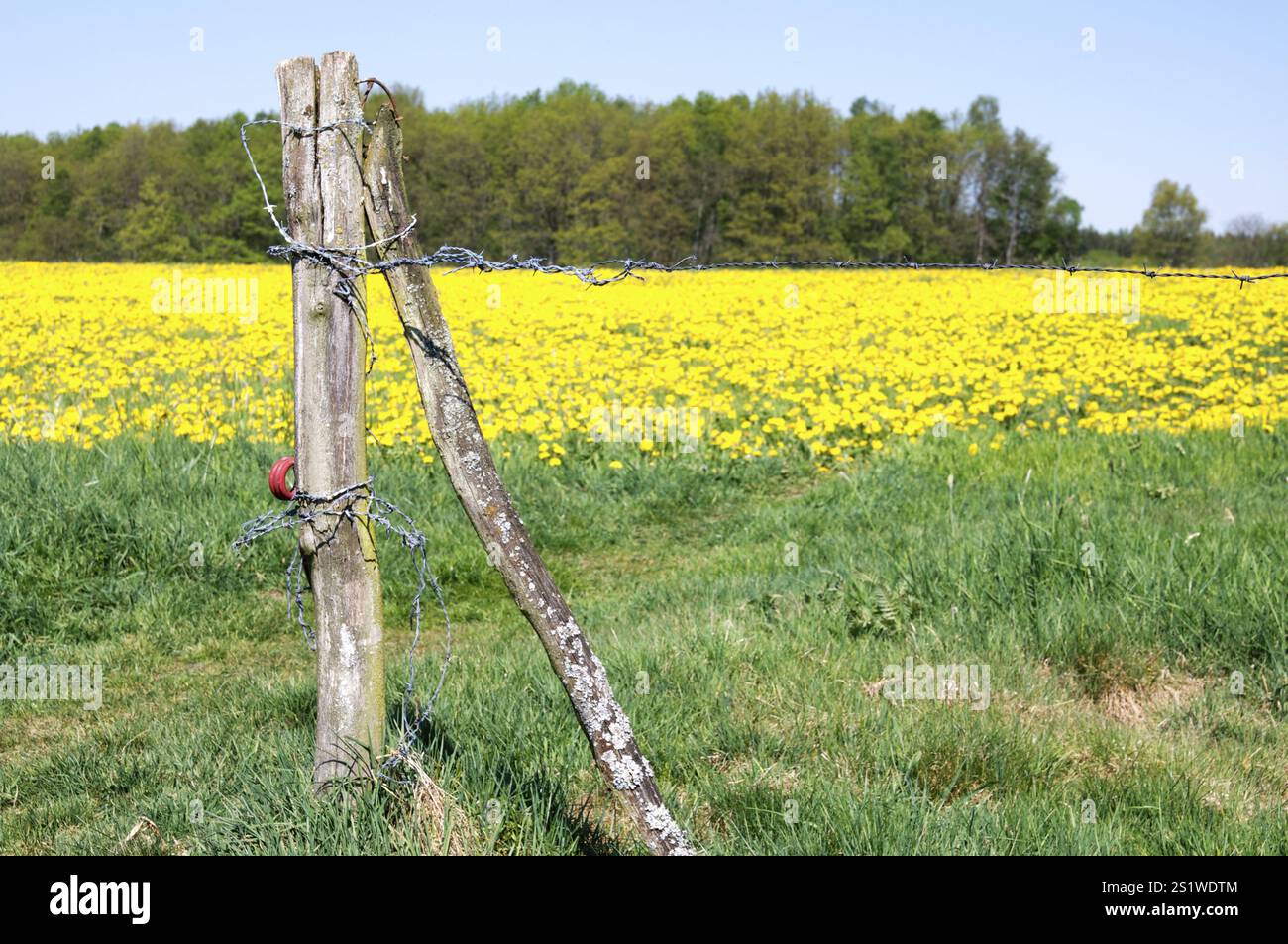 Landscape in spring Stock Photo - Alamy