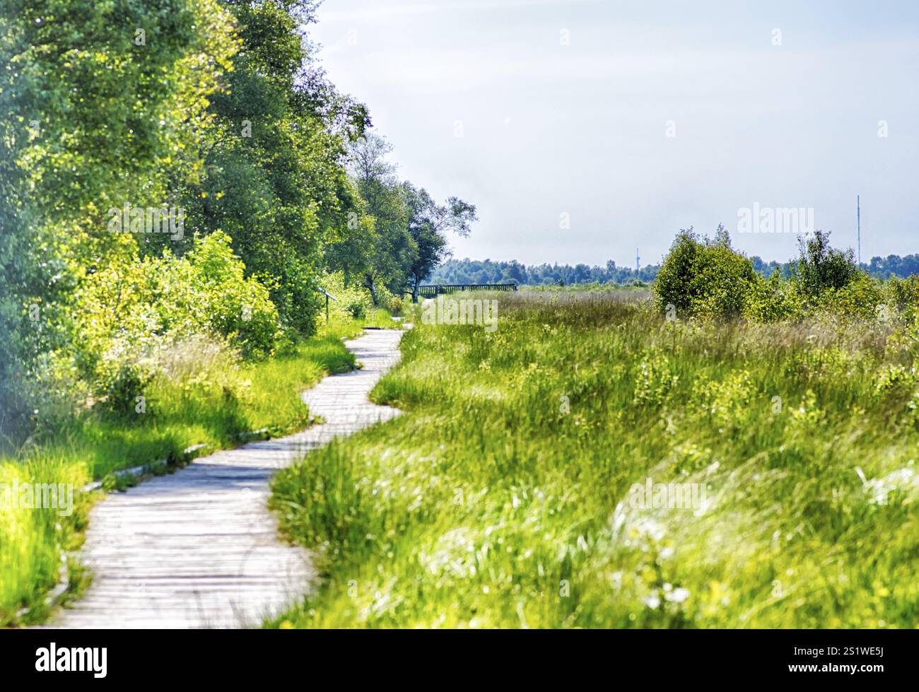 Eternal sea with moor nature trail Stock Photo - Alamy