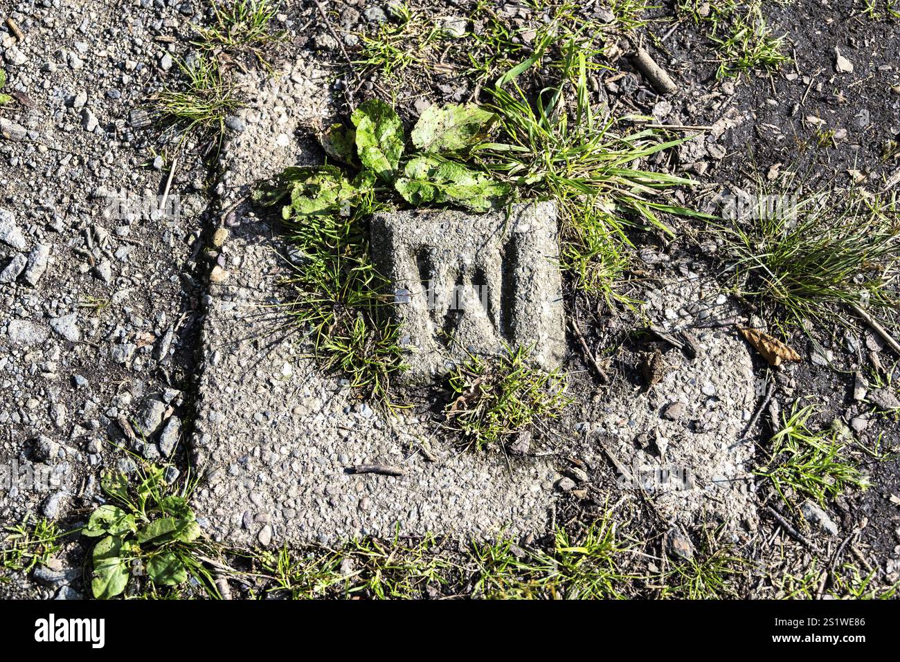 Lan font hi-res stock photography and images - Alamy