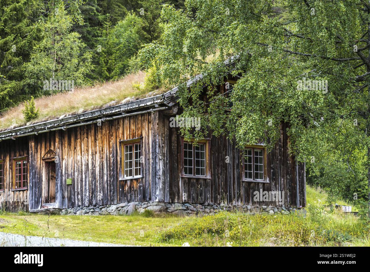 Traditional Timber house with grass roof in the Setesdal in Norway in ...