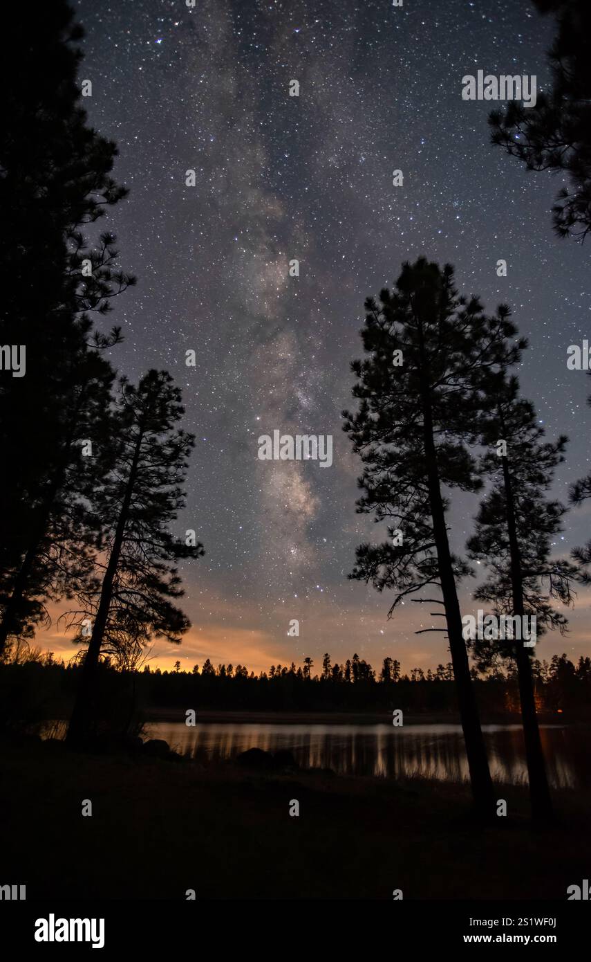 Milky way reflecting in a forest lake with pine trees Stock Photo - Alamy