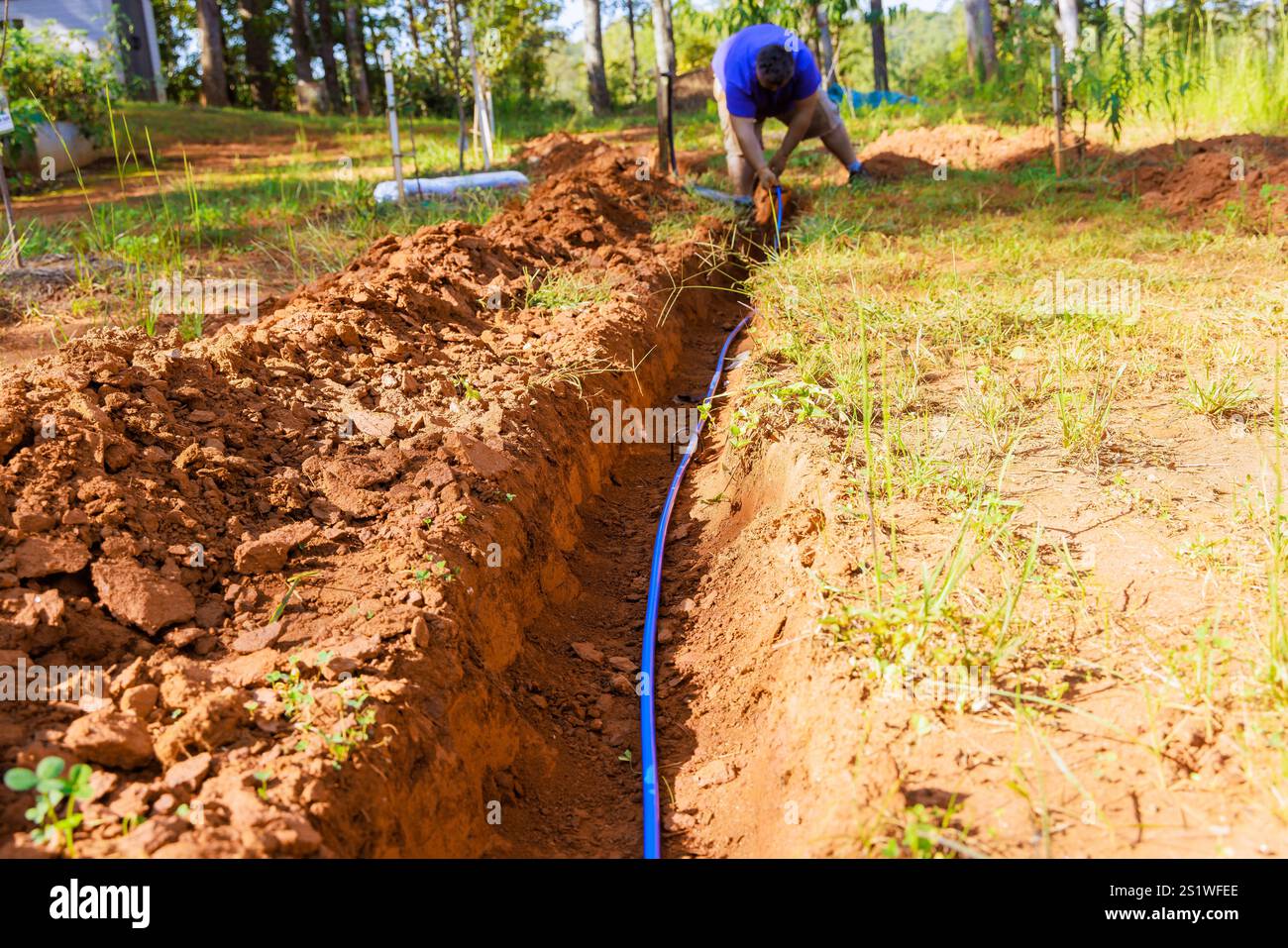 Construction worker is laying down blue PVC water pipe in freshly dug ...