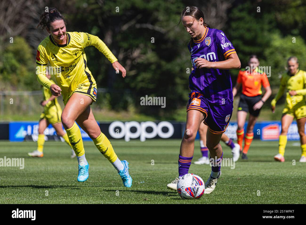 WELLINGTON, NEW ZEALAND - JANUARY 04: Charli Wainwright of Perth Glory ...