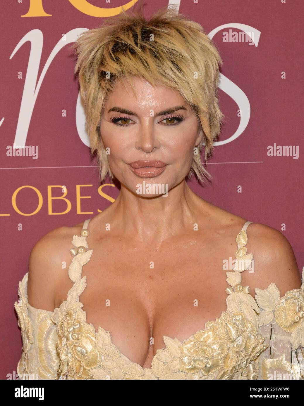 Beverly Hills, California, USA. 03rd Jan, 2025. Lisa Rinna. 2025 WWD Style Awards at Four ...