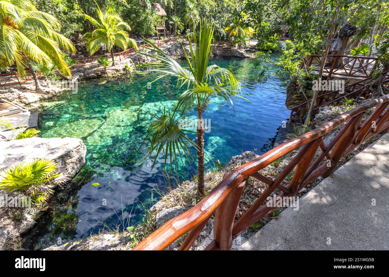 Mexico, scenic underwater caves Cenote Casa Tortuga near Tulum, famous ...