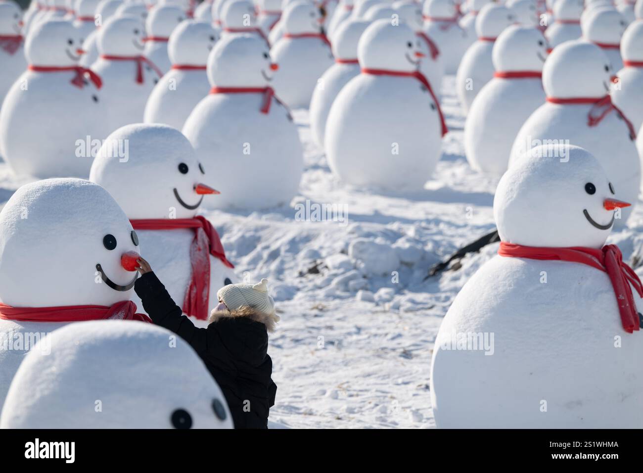 Beijing, China's Heilongjiang Province. 4th Jan, 2025. A visitor has ...