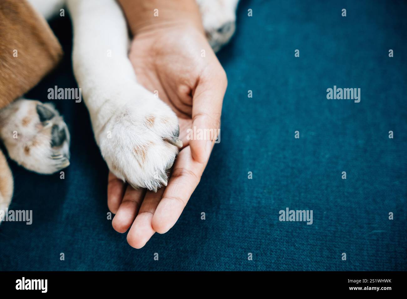In a powerful symbol of trust and confidence, a woman's hand cradles a ...