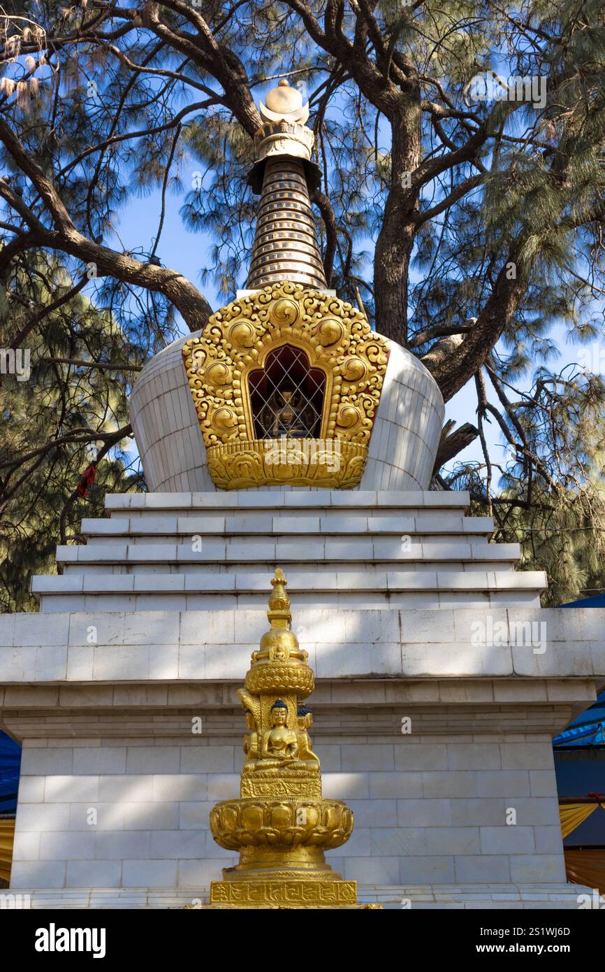Statue of Buddha along with one of the stupa in Buddha Park ...