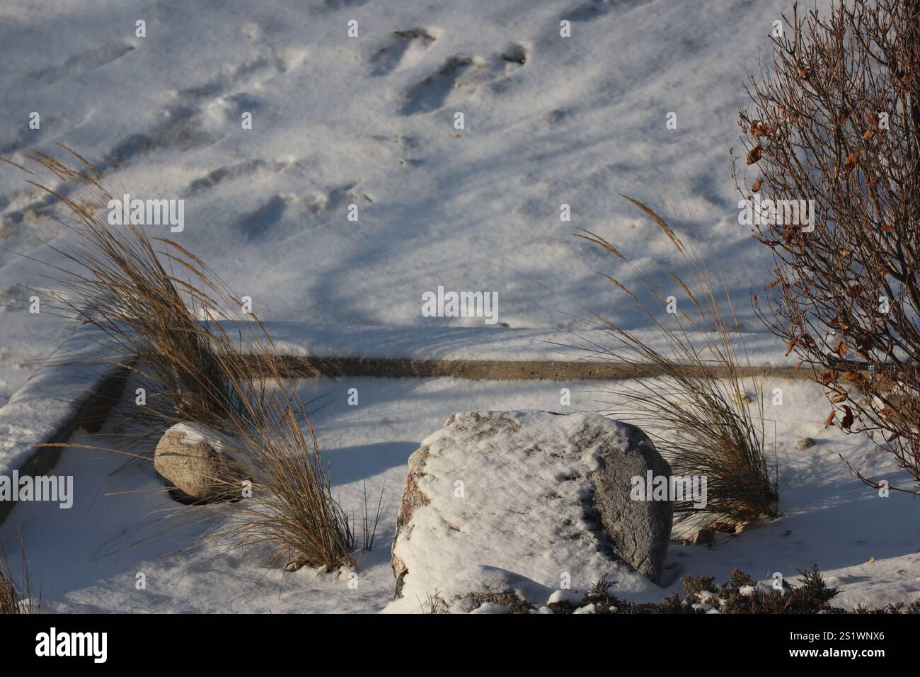 Faint spotlights hi-res stock photography and images - Alamy